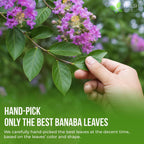 banaba dried leaves for healthy lifestyle