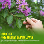 banaba tea for digestive health