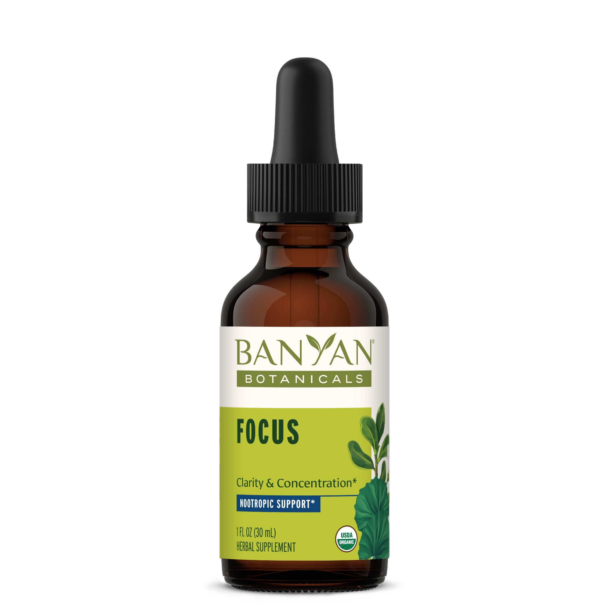 Banyan Botanicals focus supplement benefits
