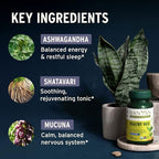 Banyan Botanicals Vata balancing formula