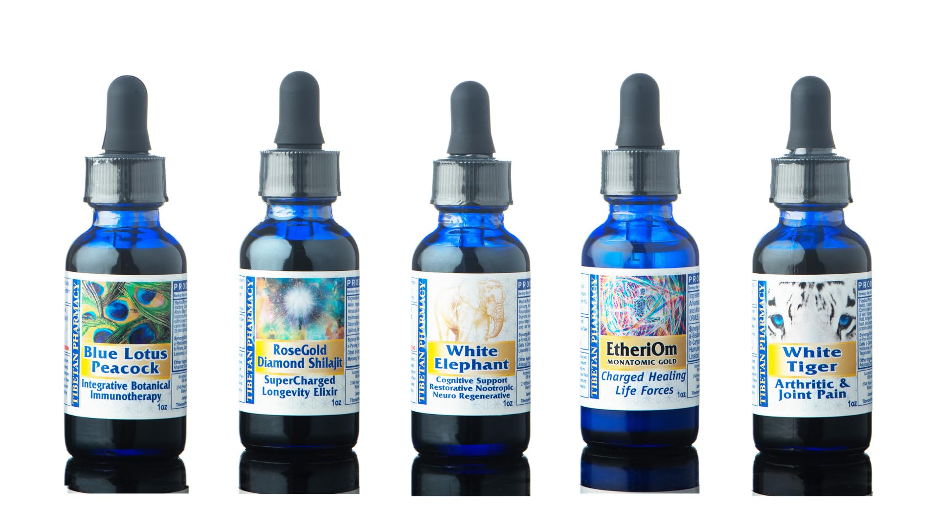 Baptisia Tinctoria immune booster