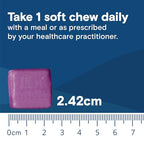 Bariatric Fusion probiotic soft chews benefits