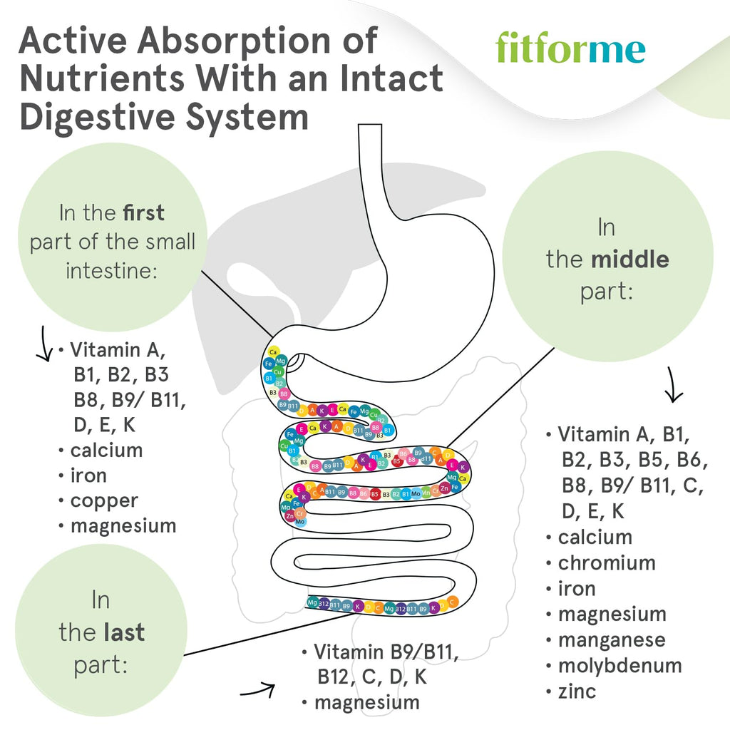 bariatric health support vitamins
