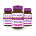 BariMelts Berberine Phytosome benefits
