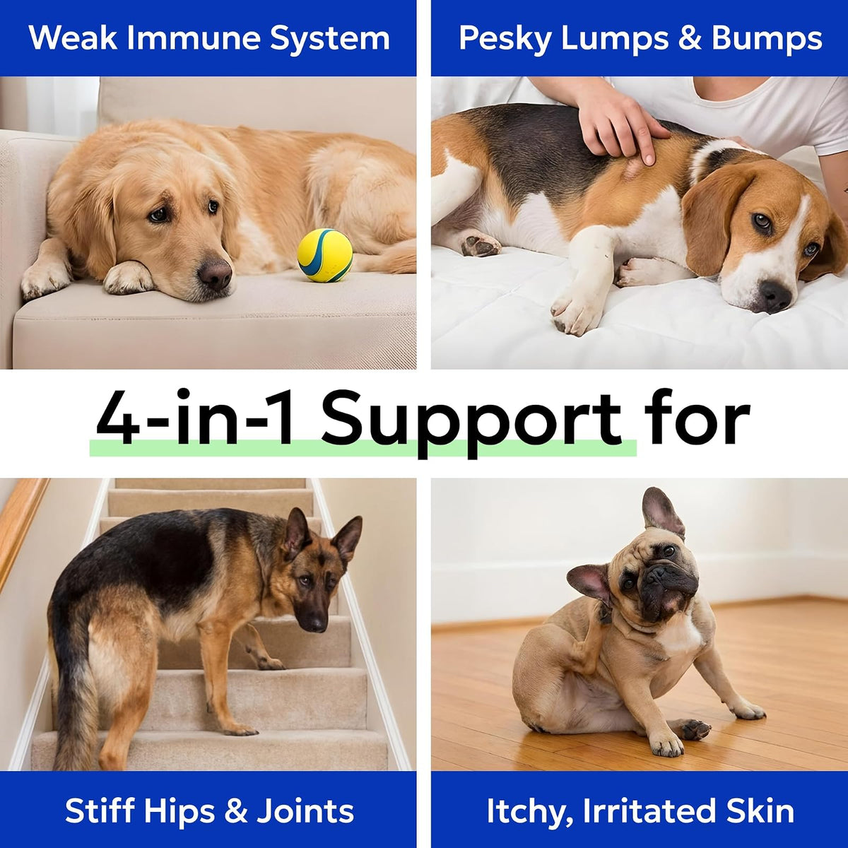 BARK&SPARK multivitamin chews