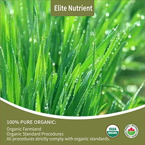 barley grass powder for detox