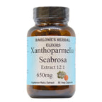 Barlowe's Herbal Elixirs energy extract