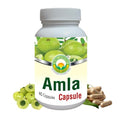 BASIC AYURVEDA Amla antioxidant capsules