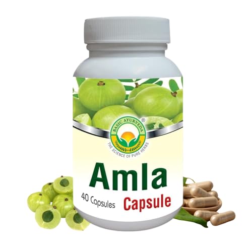 BASIC AYURVEDA Amla antioxidant capsules