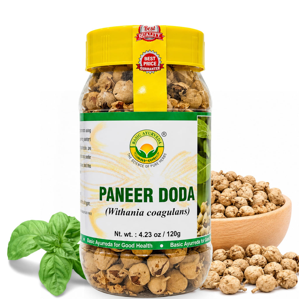 BASIC AYURVEDA Paneer DODI Phool benefits