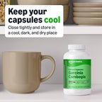 Basics Garcinia Cambogia natural fat burner