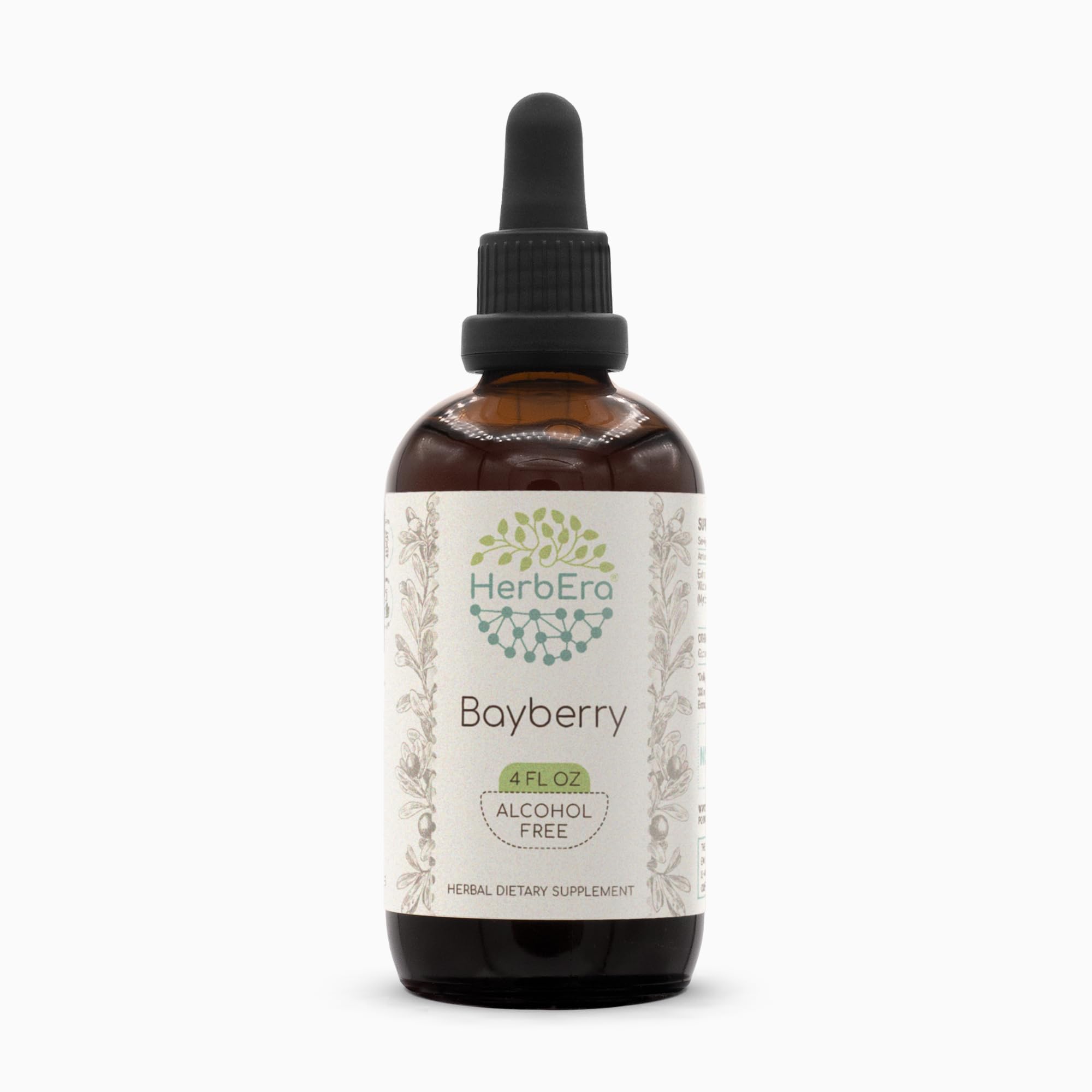 bayberry herbal extract tincture benefits