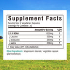 BCAA 2:1:1 for muscle support