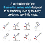 BCAA amino acids supplement powder