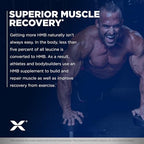 BCAA and amino acids for post-workout recovery
