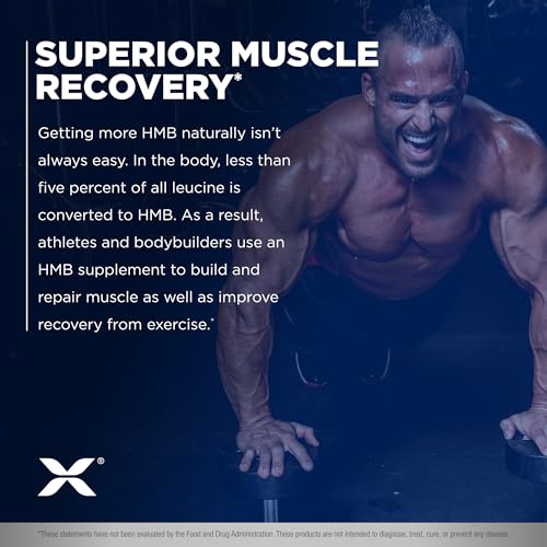 BCAA and amino acids for post-workout recovery