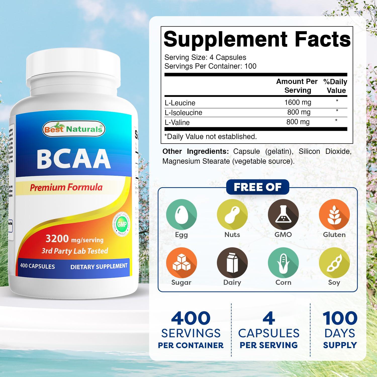 bcaa capsules for improved endurance