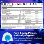 BCAA gummies for muscle recovery