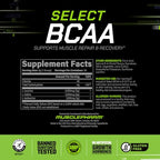 BCAA powder for muscle growth