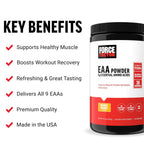 BCAA powder for muscle recovery