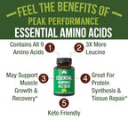 BCAA supplement for muscle growth
