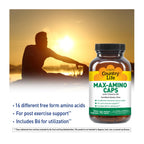 BCAA supplement for muscle recovery