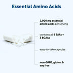 BCAA supplement for muscle recovery
