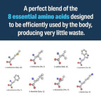 bcaa tablets for enhanced performance