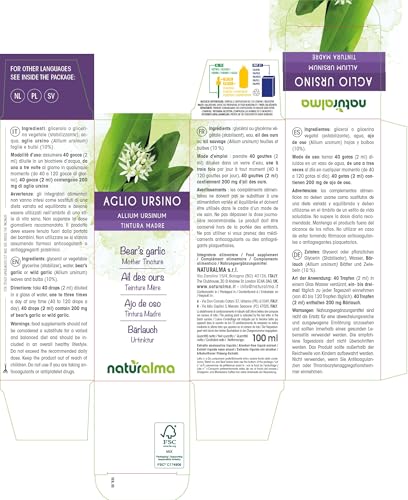 Bear's garlic for immune support