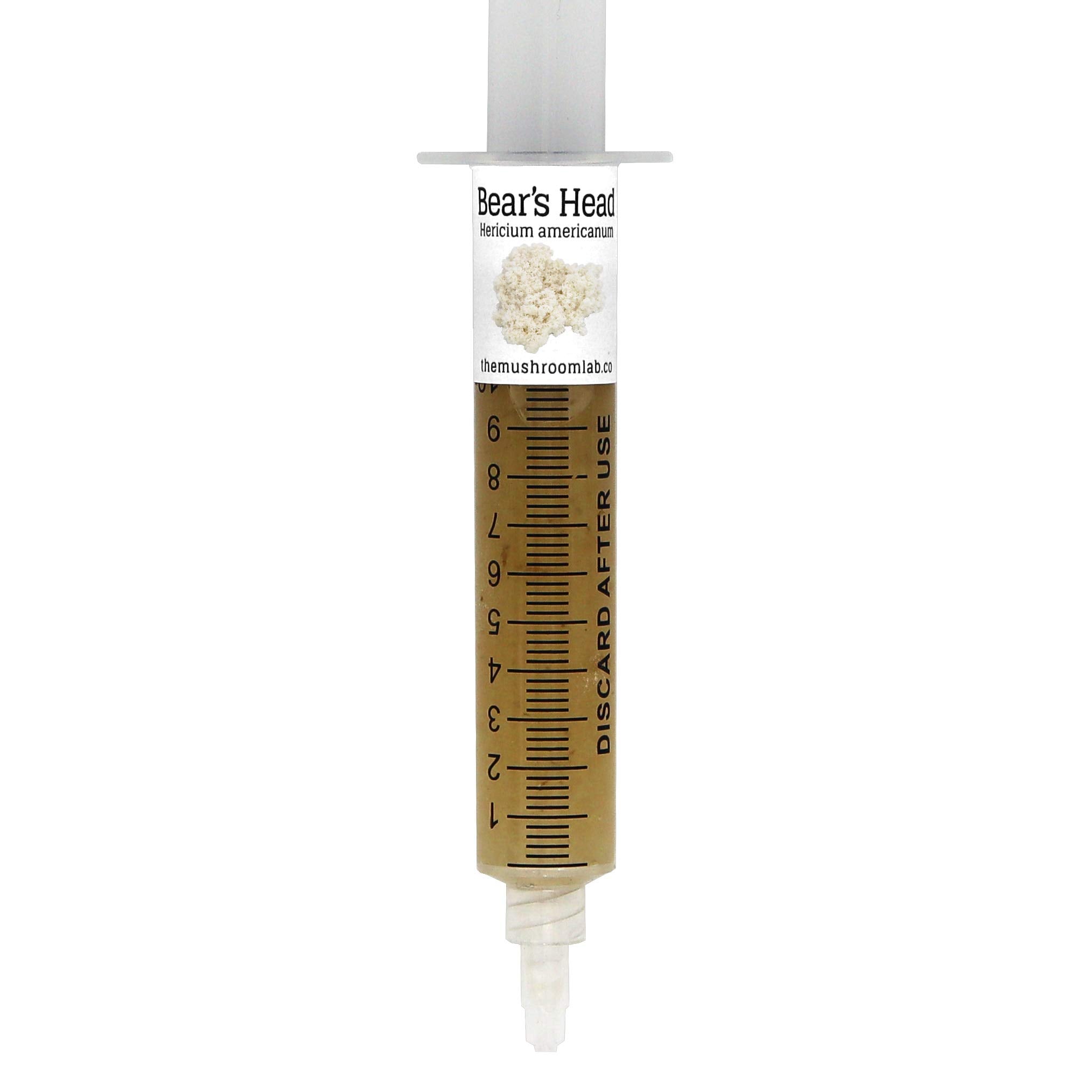 Bear's Head mushroom liquid culture