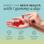Bears with Benefits gummy vitamins