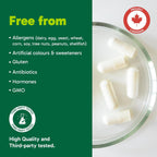 beauty benefits of collagen
