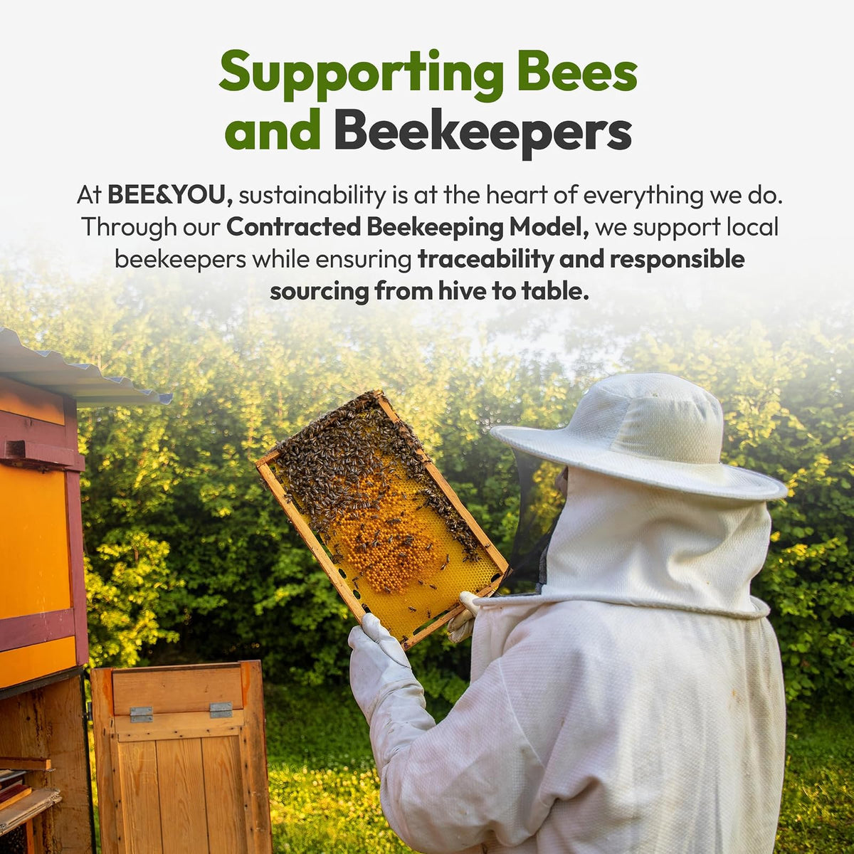 Bee and You multivitamins for wellness
