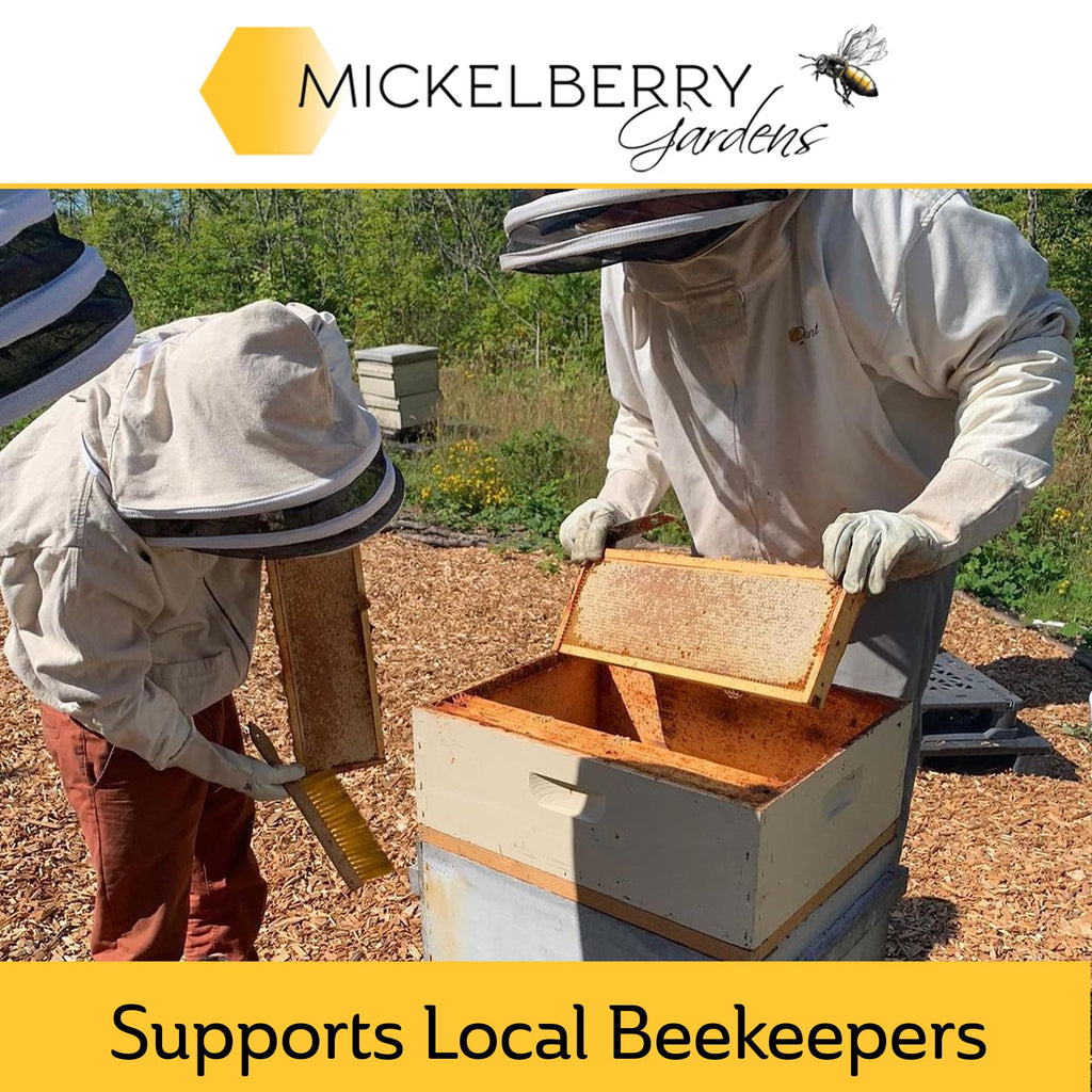 bee pollen granules for immune support