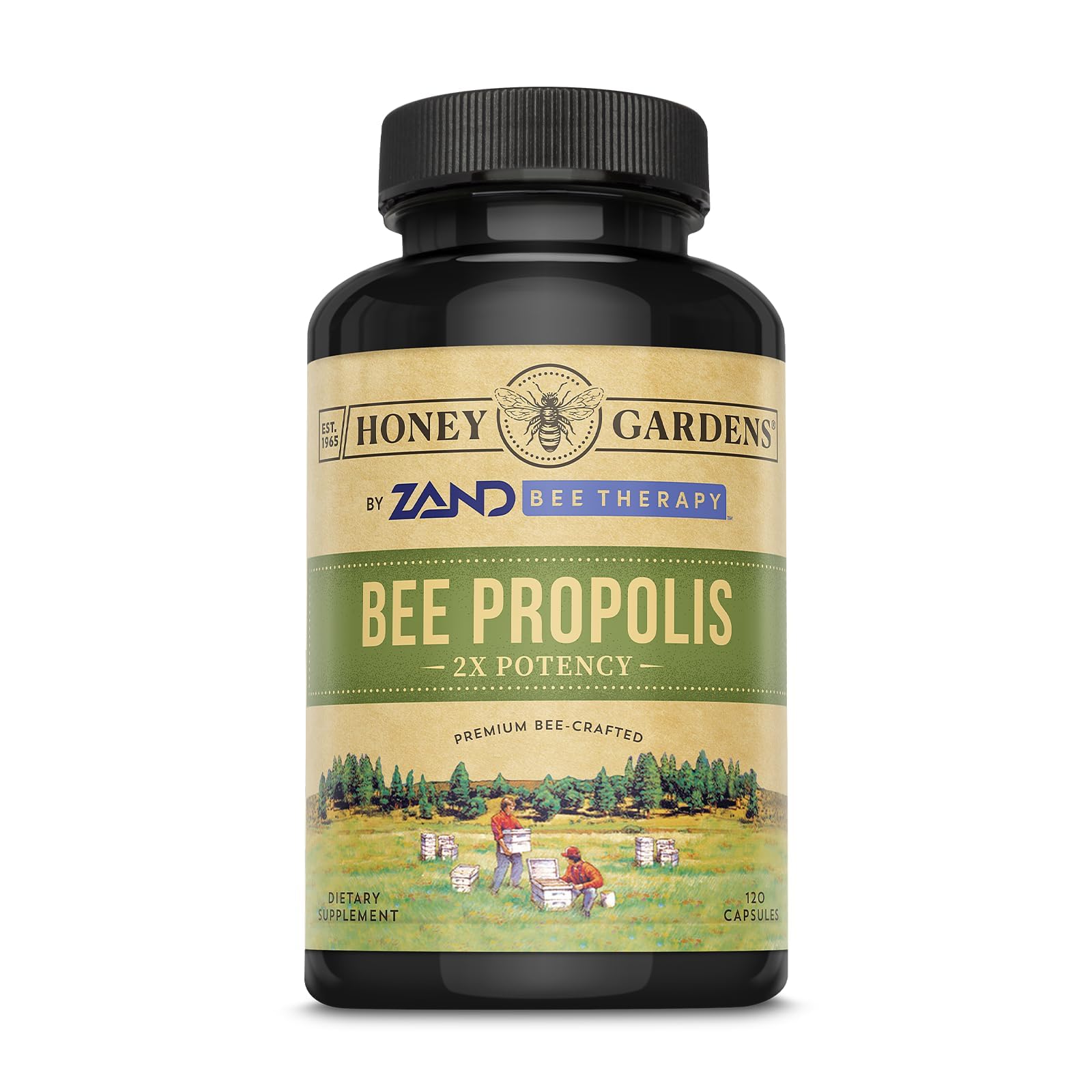 Bee propolis multivitamin capsules