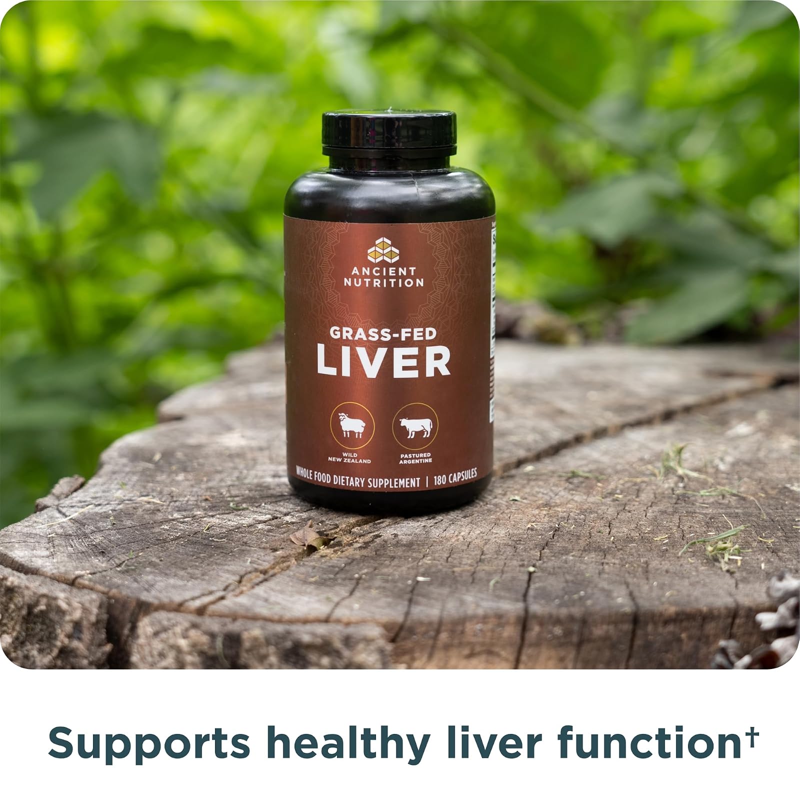 beef and lamb liver nutrition