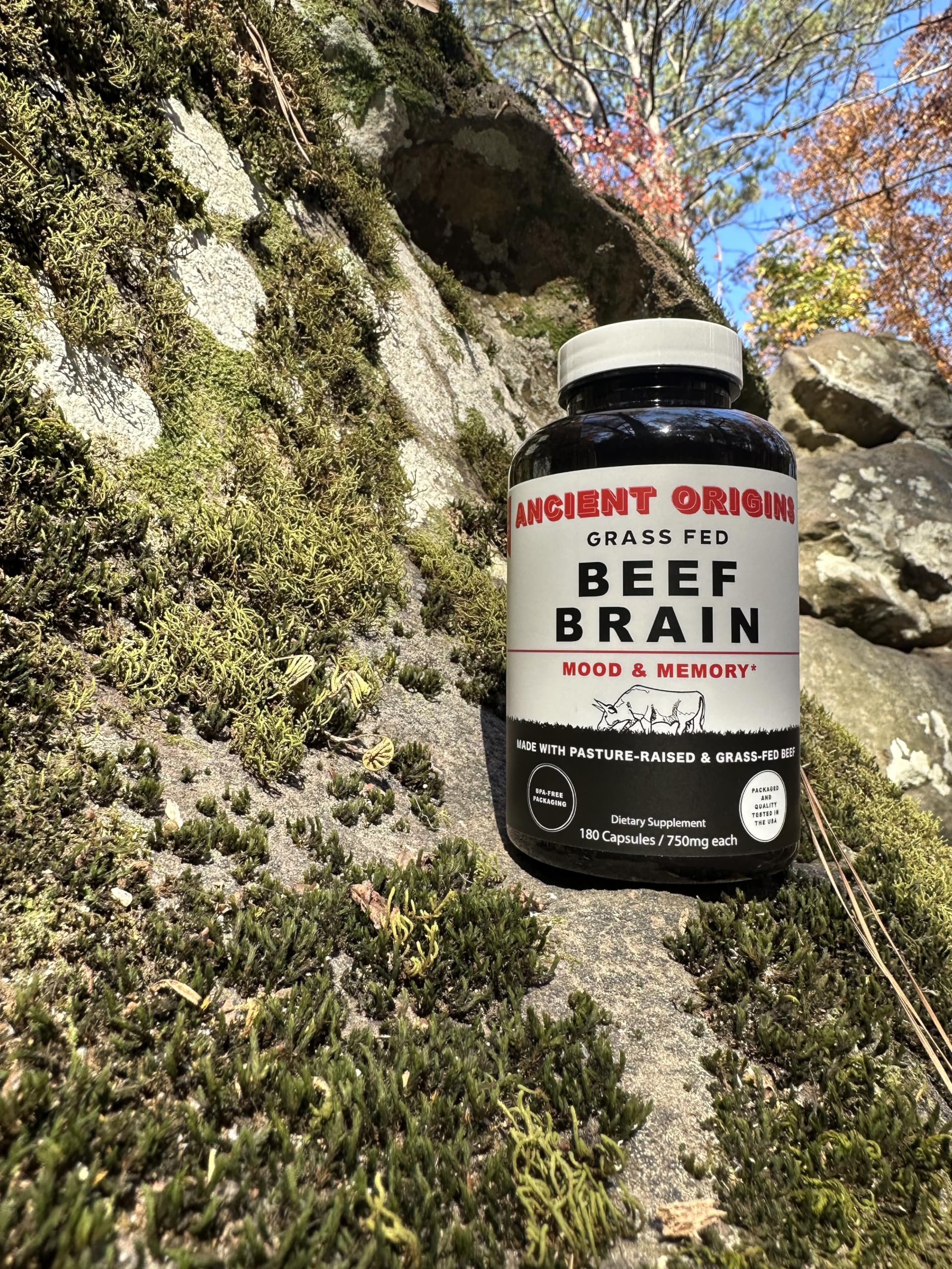 Beef brain supplement for clarity
