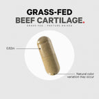 beef cartilage supplement for joint health