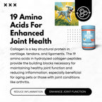 beef collagen for beauty benefits
