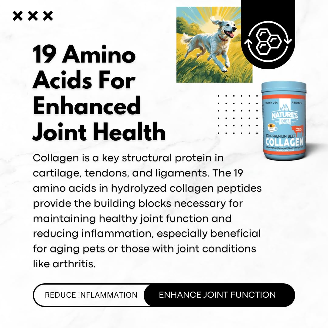 beef collagen for beauty benefits