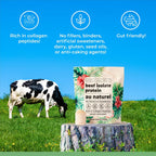 beef isolate for clean protein source