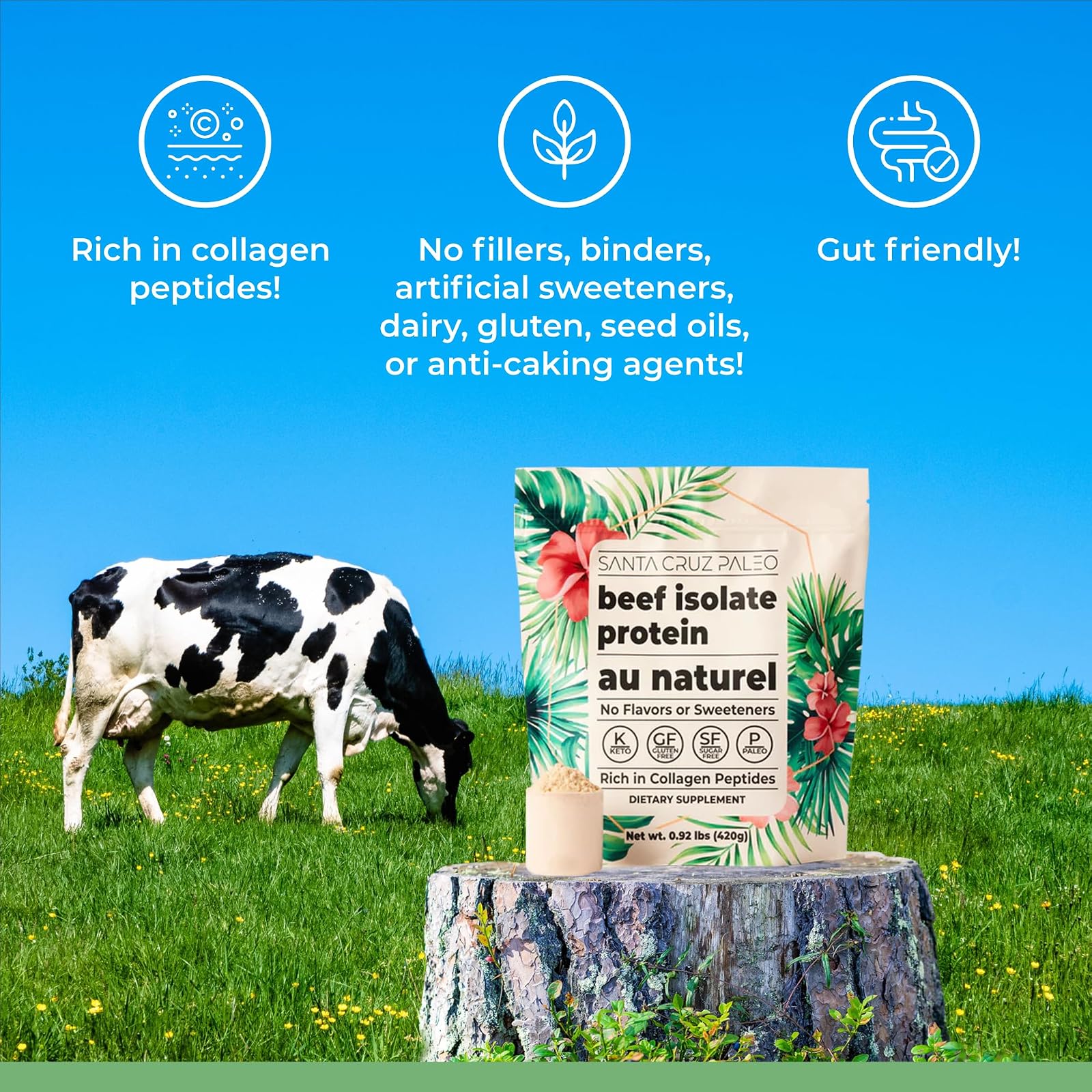 beef isolate for clean protein source