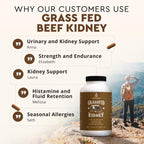 beef kidney capsules for seniors