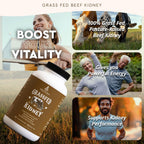 beef kidney for men's health