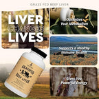 beef liver for overall wellness