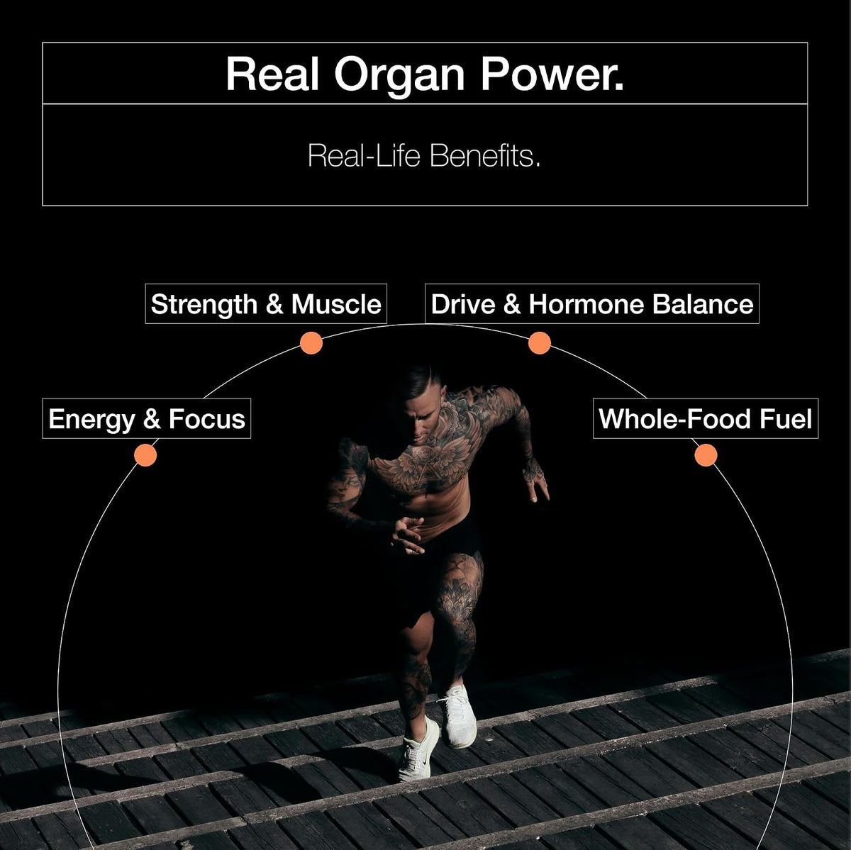beef organ supplement for energy boost