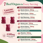 beef organ supplement for energy boost