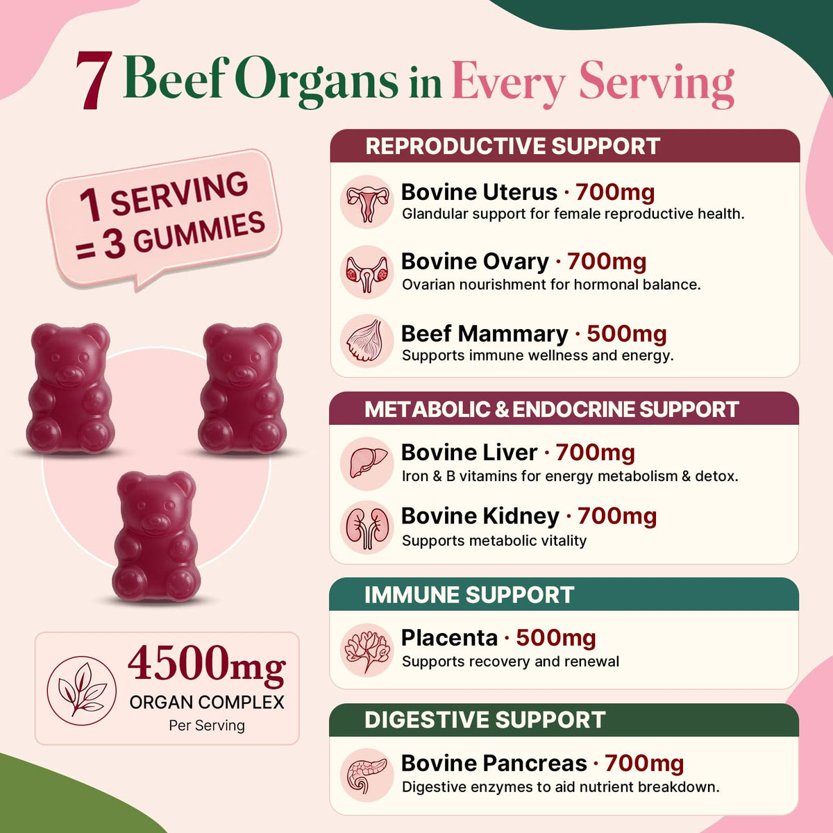 beef organ supplement for energy boost