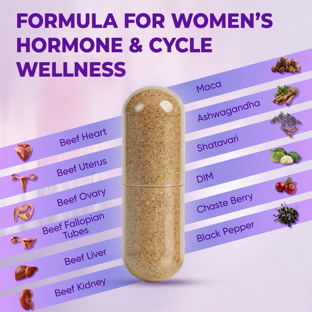 beef organ supplement for energy