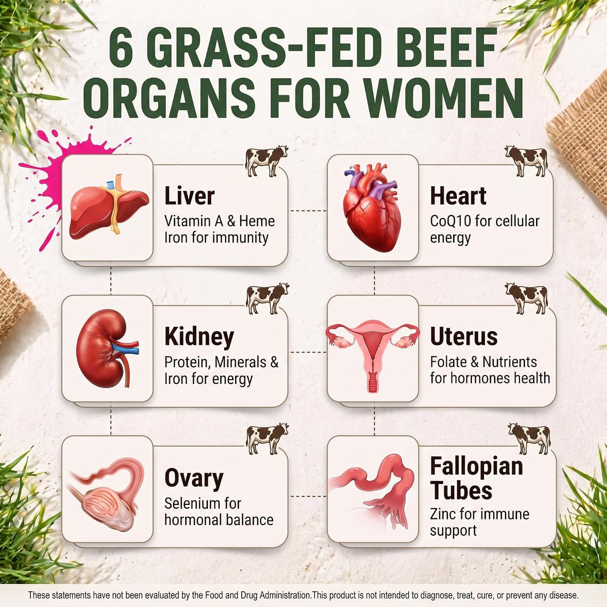Beef organ supplement for vitality